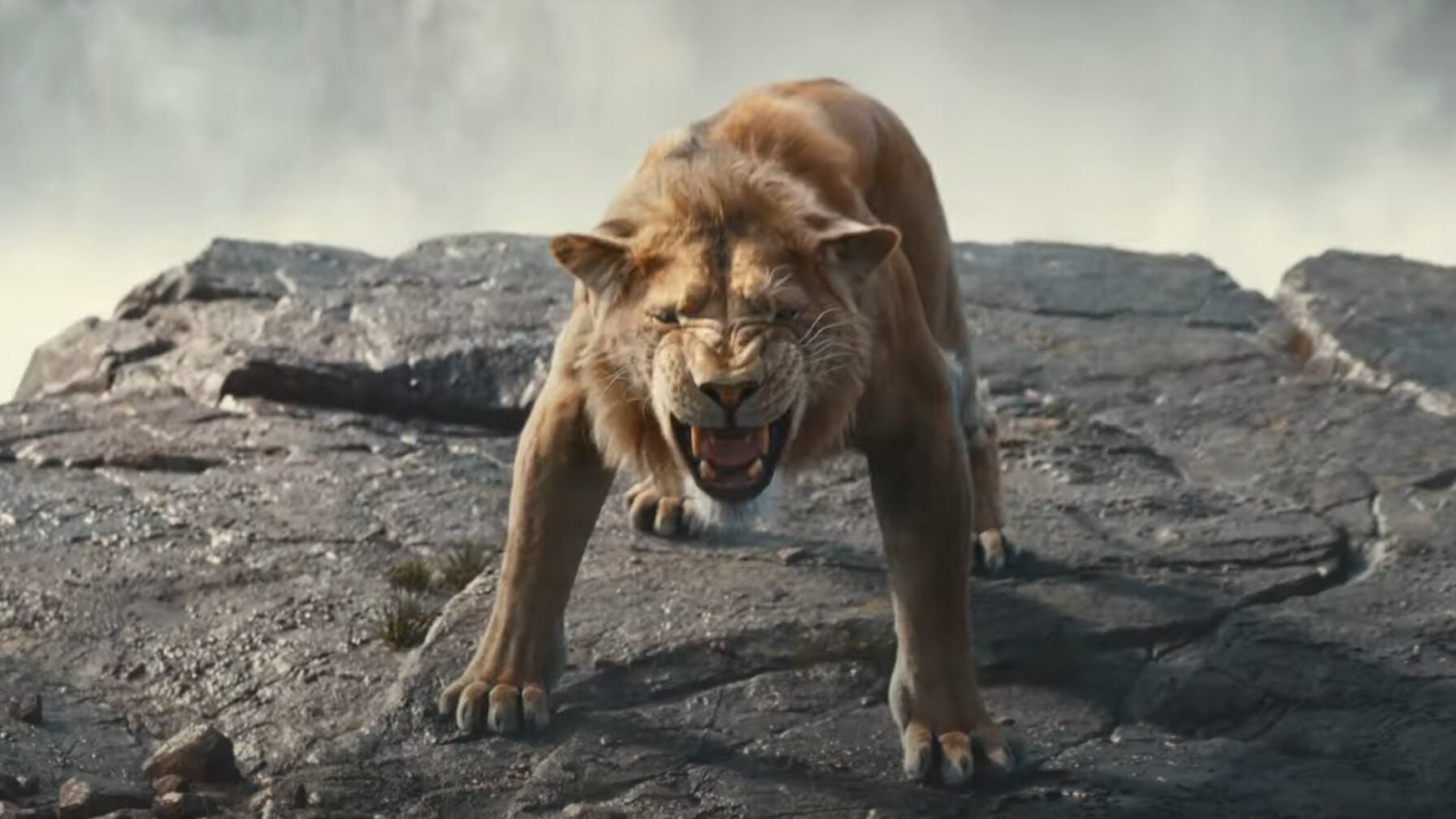 El primer teaser de Mufasa es solo un montón de animales