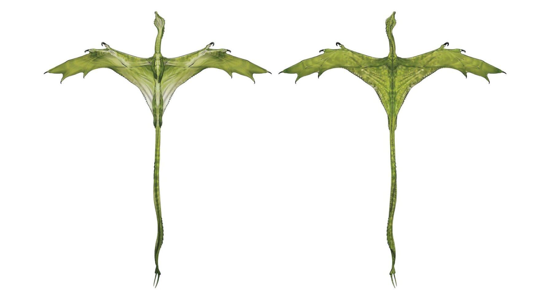 Conozca los dragones verdes de la nueva era de Dungeons & Dragons ...
