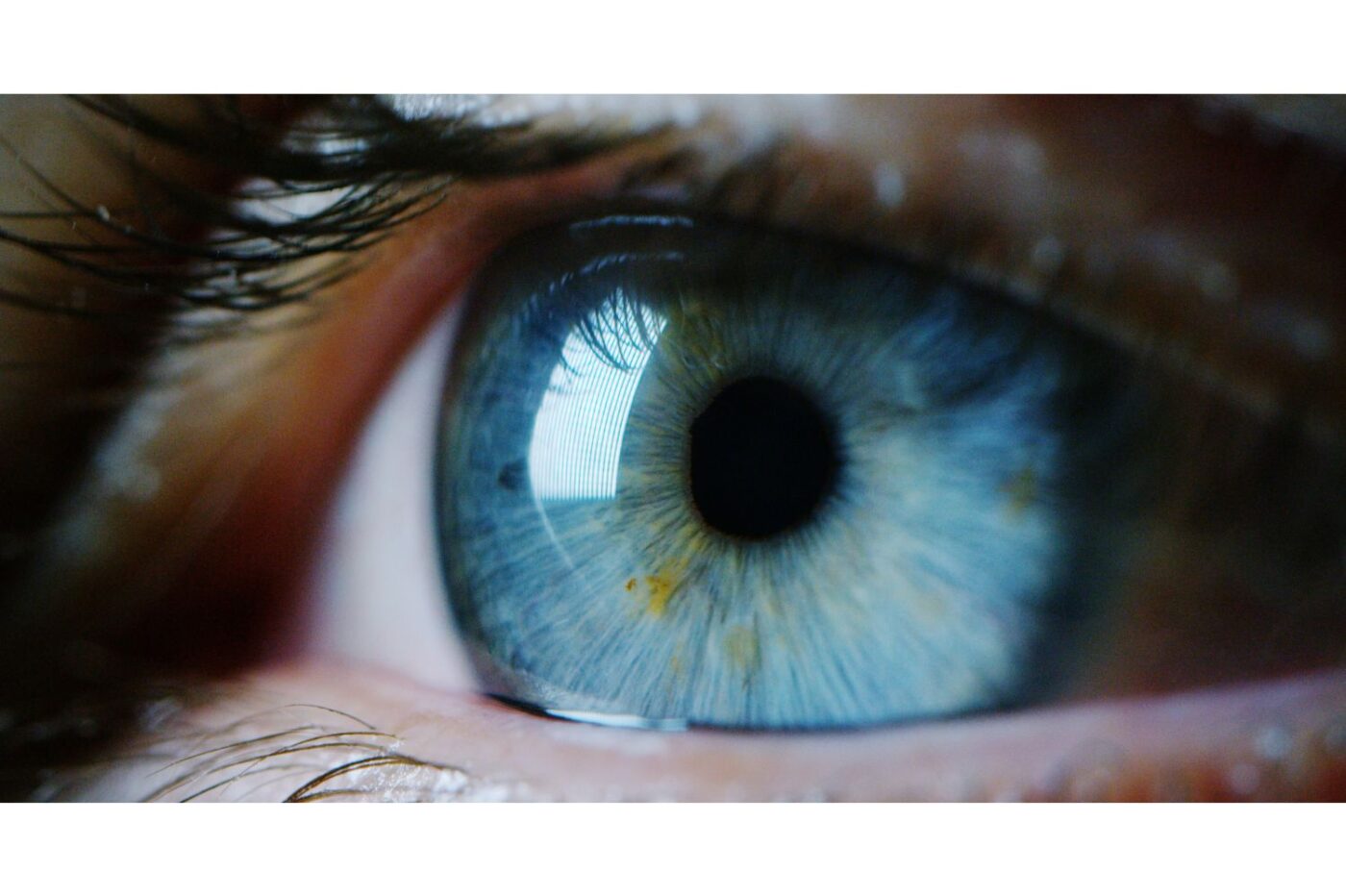 El sorprendente origen de los ojos azules: Una mutación genética única ...