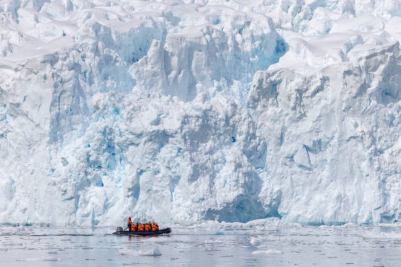 Un mundo oculto bajo el hielo: La sorprendente forma de vida hallada en ...