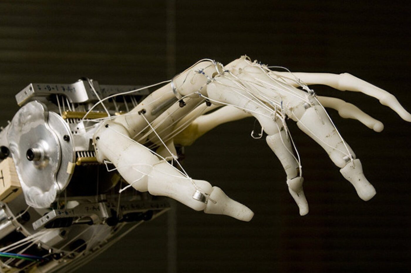 La mano robótica que se fatiga como tú: Ciencia crea músculos 'vivos ...