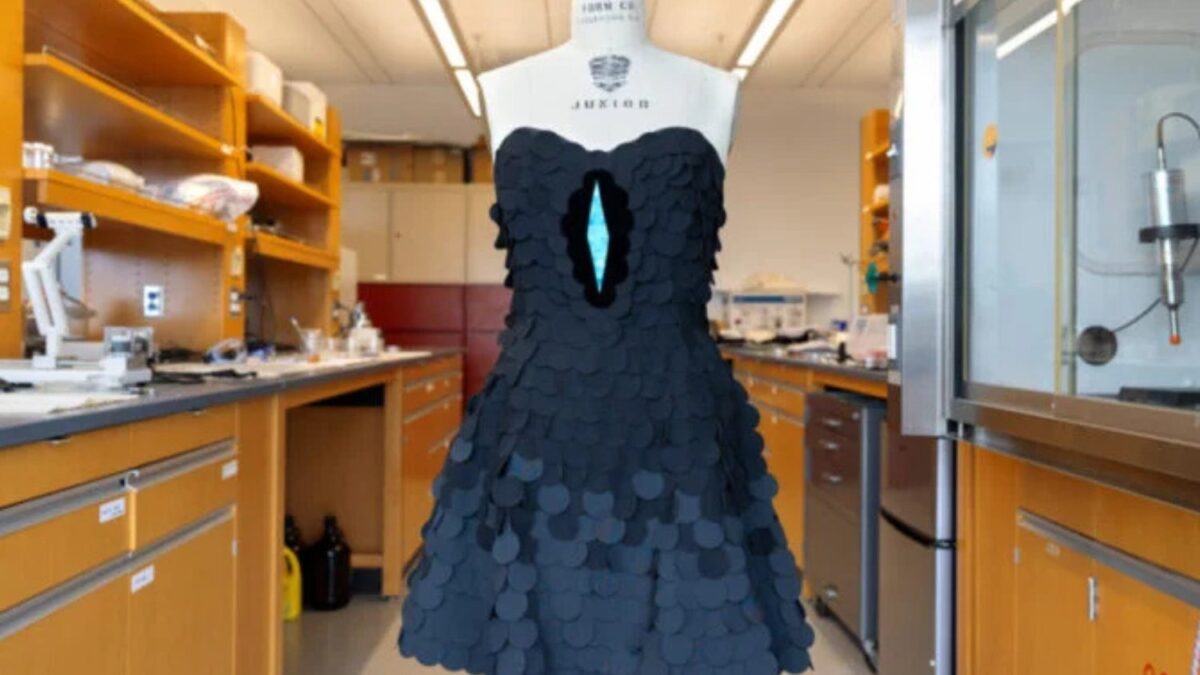 La ciencia logró crear el material textil más negro en la historia, y ...