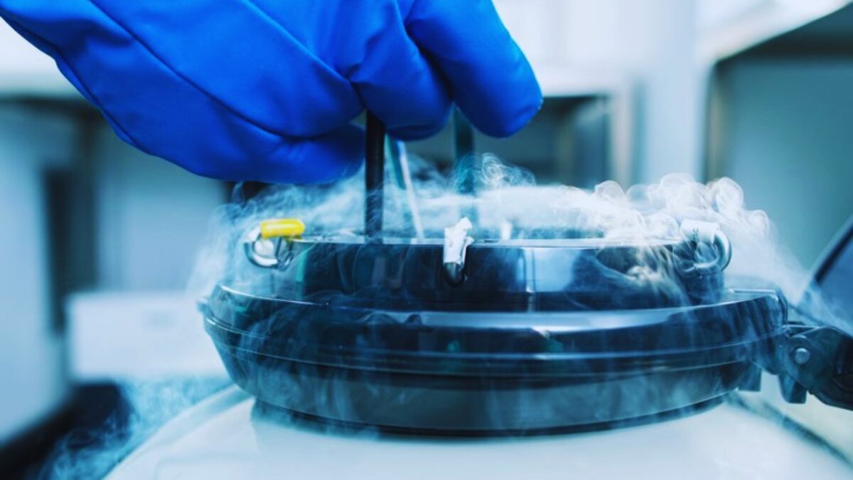 Lo que parecía ciencia ficción acaba de dar un paso incómodo hacia la ...